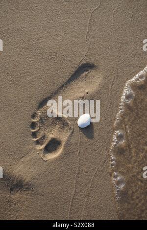 Single human footprint on sandy beach Stock Photo - Alamy