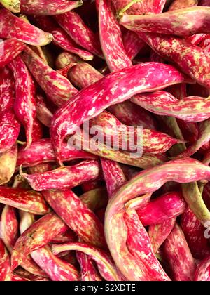 Cranberry shelling beans at a farmers market for sale by the bushel ...