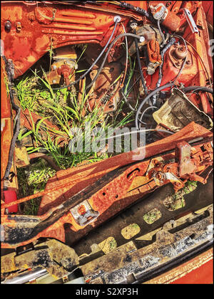Rusty Car Bonnet Stock Photo - Alamy