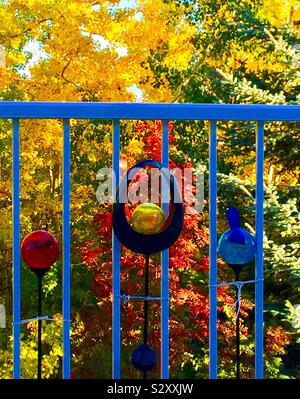 Backyard photography, Autumn colours Stock Photo - Alamy
