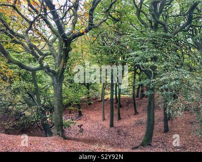 Tandle Hill Country Park, Royton War Memorial. Oldham, Manchester ...