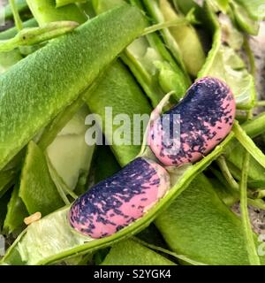 Runner beans in a closeup Stock Photo - Alamy