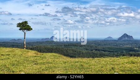 One Tree Hill Maleny Glasshouse Mountains Queensland Lone Tree Stock ...