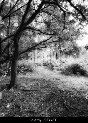 Headley Heath, Headley, Surrey Stock Photo - Alamy