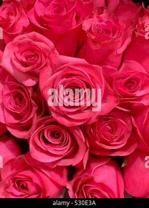 Beautiful bouquet of fresh pink roses in retro shabby chic vase on ...