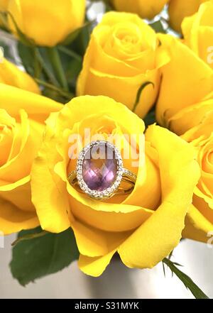 Yellow rose and wedding rings Stock Photo - Alamy