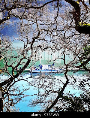 the Fal through the woods Stock Photo - Alamy