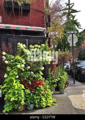 New York, Spotted Pig restaurant sign, Greenwich Village Stock Photo ...