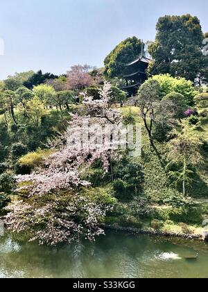 Hotel Chinzanso garden,Tokyo,Japan Stock Photo - Alamy