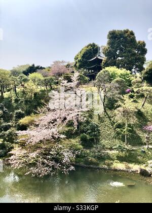 Japanese garden of Chinzanso hotel in the heart of Tokyo,Japan Stock ...