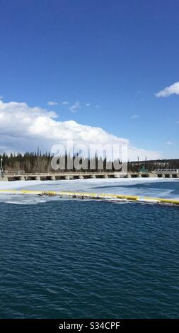 Seebe Dam,Bow River, west of Calgary, Alberta, Canada, yellow booms ...