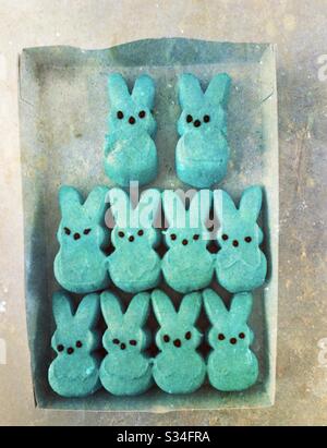 Blue bunny rabbit Peeps candy marshmallows Stock Photo - Alamy