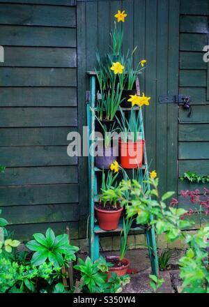 A wooden ladder is propped up against a white wall, with three metal ...