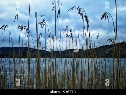 Loch Ard, Scotland Stock Photo - Alamy