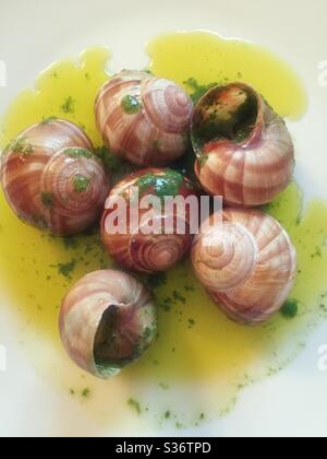 French cuisine - Escargot with butter sauce Stock Photo - Alamy