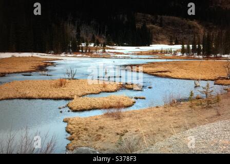 Sibald Flats, Kananaskis Country, early spring, Alberta, Canada ...