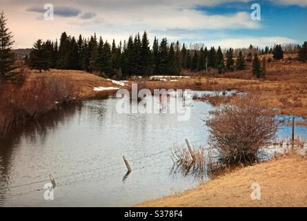 Sibald Flats, Kananaskis Country, early spring, Alberta, Canada ...