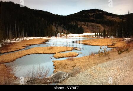 Sibald Flats, Kananaskis Country, early spring, Alberta, Canada ...