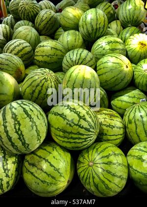 watermelon personal personal size watermelon size mini small seedless ...