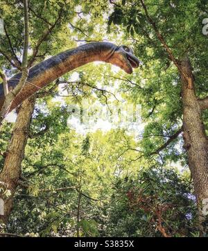 Robotic brontosaurus dinosaur eating leaves off of tall trees in the ...