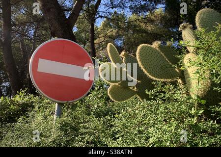 Cactus Warning Sign Stock Photo - Alamy