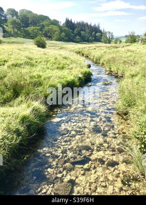 stream running through countryside Stock Photo - Alamy