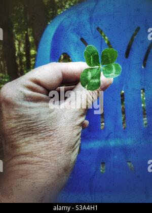 Holding a lucky four leaf clover, good luck shamrock, or lucky charm ...