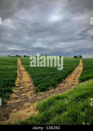 which way now Stock Photo - Alamy