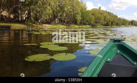 Ross river, Townsville, QLD, Australia Stock Photo - Alamy