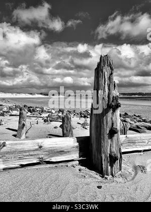 Splintered wood with rusty nails Stock Photo - Alamy