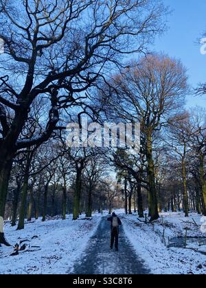 Winter walk in the woods Stock Photo - Alamy