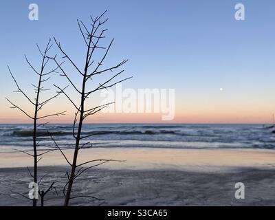 Full Moon, Michigan Stock Photo - Alamy