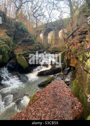 Healey Dell Nature Reserve in Winter Stock Photo - Alamy