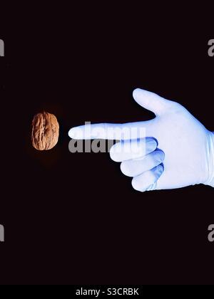 Medical examination. Finger examination. Walnut and finger. Prostate ...