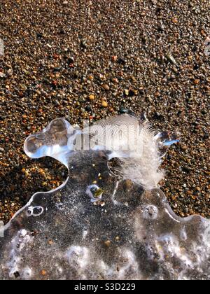 White feather on pebble beach with bokeh highlights in background Stock ...