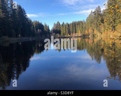 Schwarzwald. October in Germany Stock Photo - Alamy