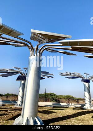 Solar panel trees at the National Salt Satyagraha Memorial (opened by ...