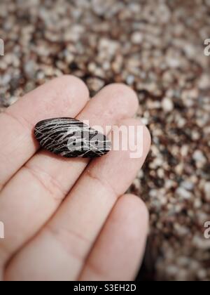 Black rock found on beach Stock Photo - Alamy