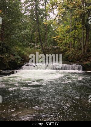 Whatcom Falls Park, Bellingham, Washington USA. Beautiful waterfalls ...