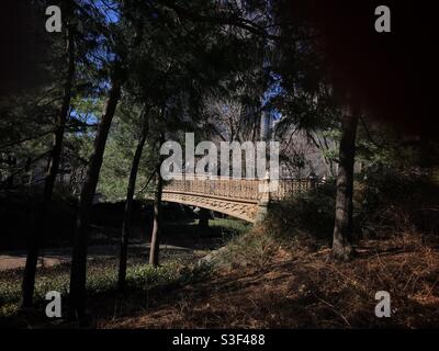 The Pinebank Arch Bridge in Central Park, New York City Stock Photo - Alamy
