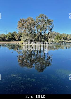 Lake in Centenary Lakes Park, Caboolture, Queensland, Australia Stock ...
