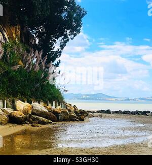 Shelly Beach, Auckland Stock Photo - Alamy