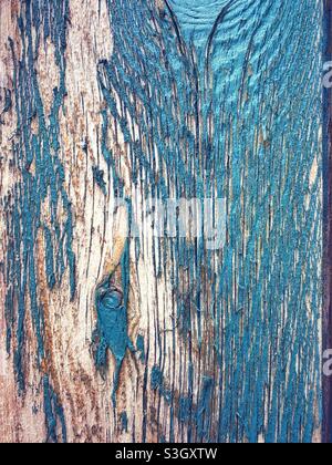 Old blue weathered wooden gate secured with rusty iron padlock. Rustic ...