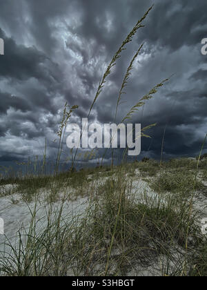 Low angle view of storm clouds at dusk Ref: CRB416 10009 093 Compulsory ...
