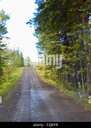 Wooded ,driveway , road, destination, trees, forest, lane, woods ...