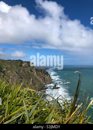 Auckland, New Zealand. Mercer Bay loop walk Stock Photo - Alamy
