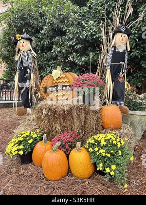 Halloween scarecrow decorations with flowers and hay Stock Photo - Alamy