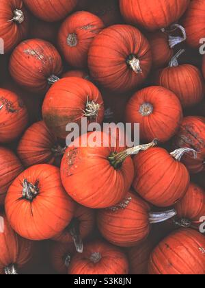 many pumpkins on a stack Stock Photo - Alamy