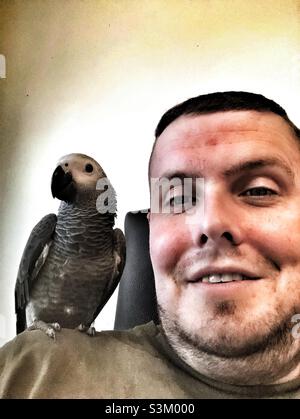 African Grey Parrot on shoulder Stock Photo - Alamy