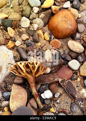 Rocks on the beach after the storm. Storm colors Stock Photo - Alamy